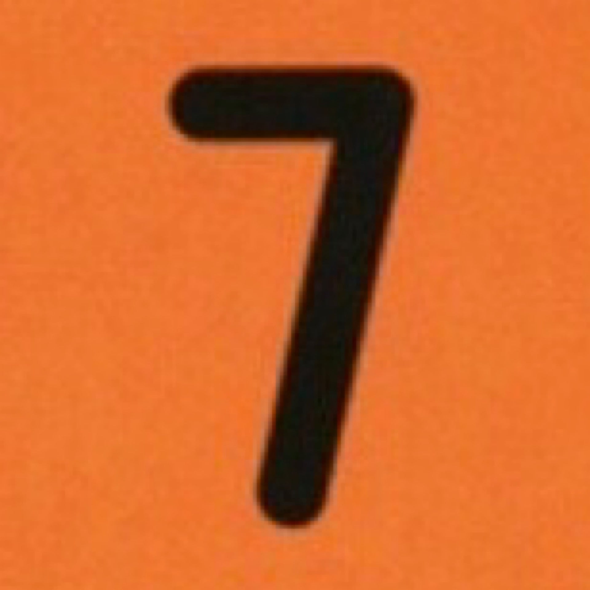 Fiddlehead Second Fiddle DRAUGHT | The Bier & Cheese Collective